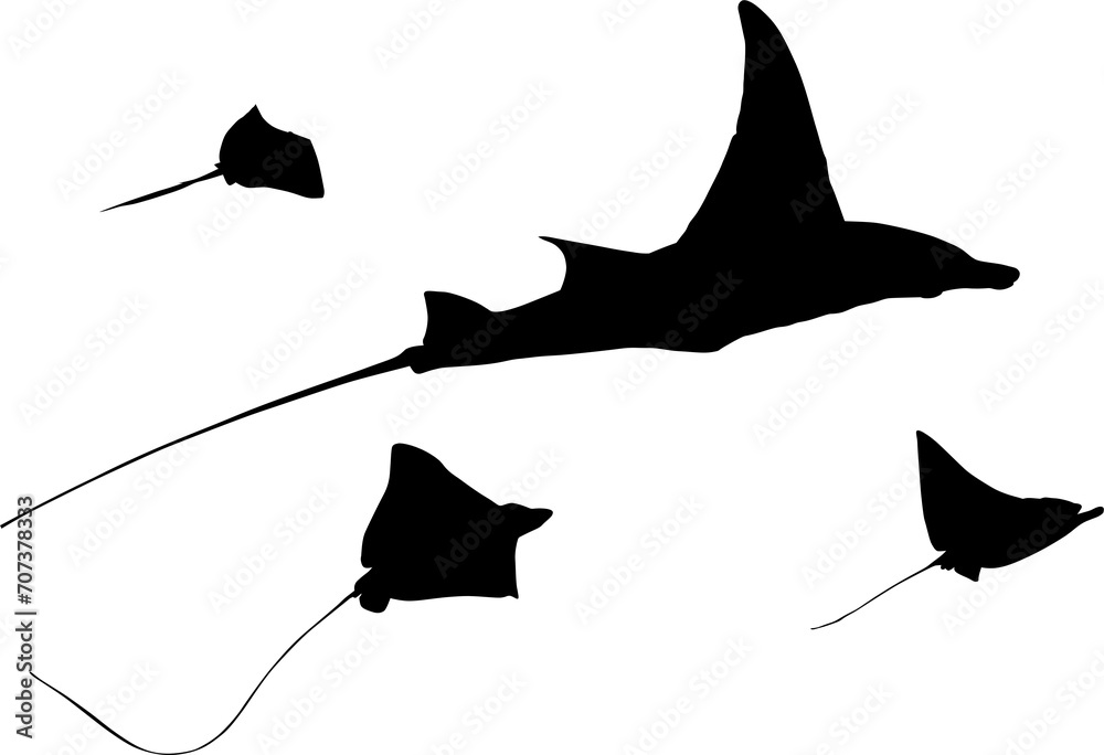 mantaraya, vector, silueta, animal marino, pegatina Stock Photo | Adobe ...