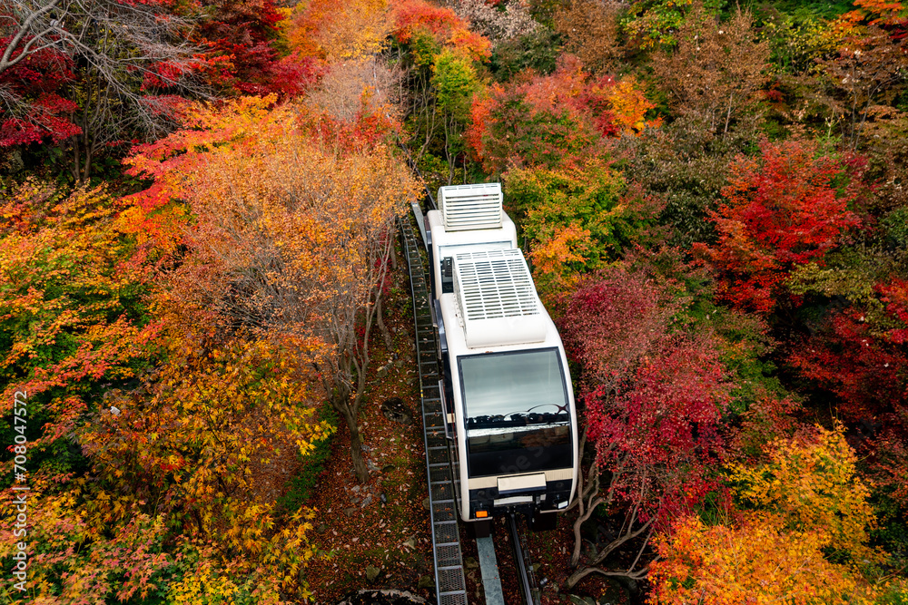 monorail takes tourists to see the scenery in Hwadam Forest Botanic ...