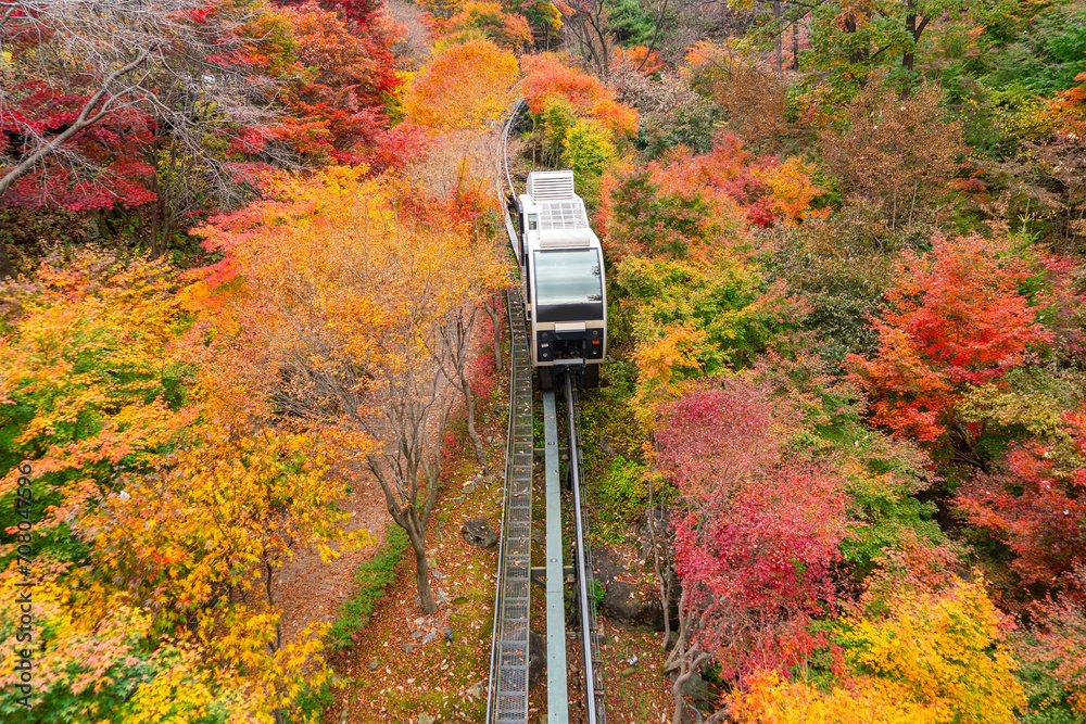 monorail takes tourists to see the scenery in Hwadam Forest Botanic ...