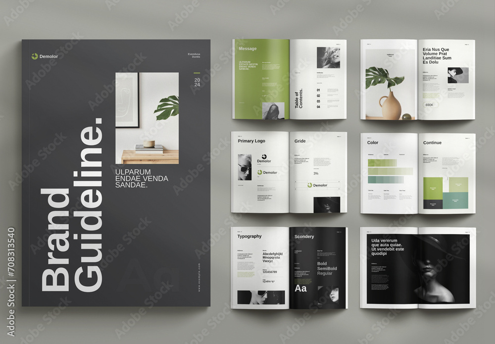 Brand Guideline Design Layout Stock Template | Adobe Stock