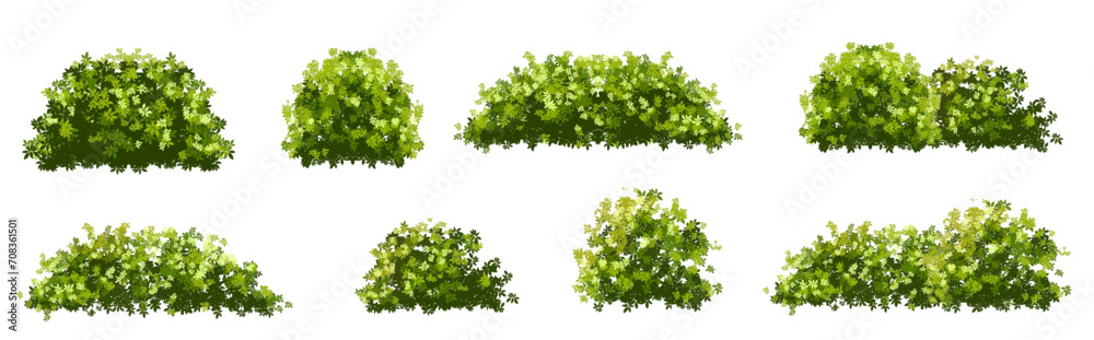 Vertor set of green tree,plants side view for landscape elevations ...