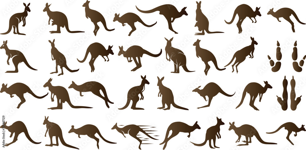 Kangaroo silhouettes, various poses of kangaroos , jumping, standing ...