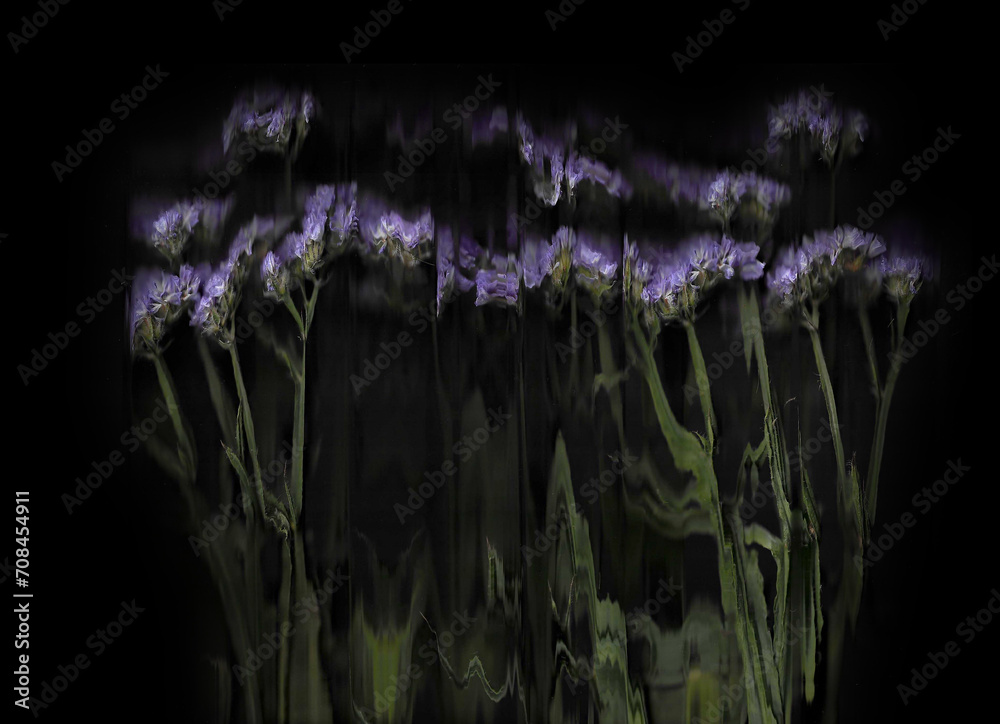 Flower scan background. Scanned flat limonium bouquet. Glitchy abstract ...