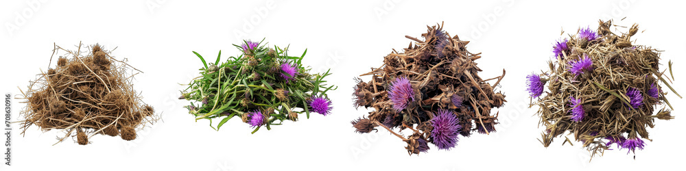 Knapweed Flower Pile Of Heap Of Piled Up Together Hyperrealistic Highly ...