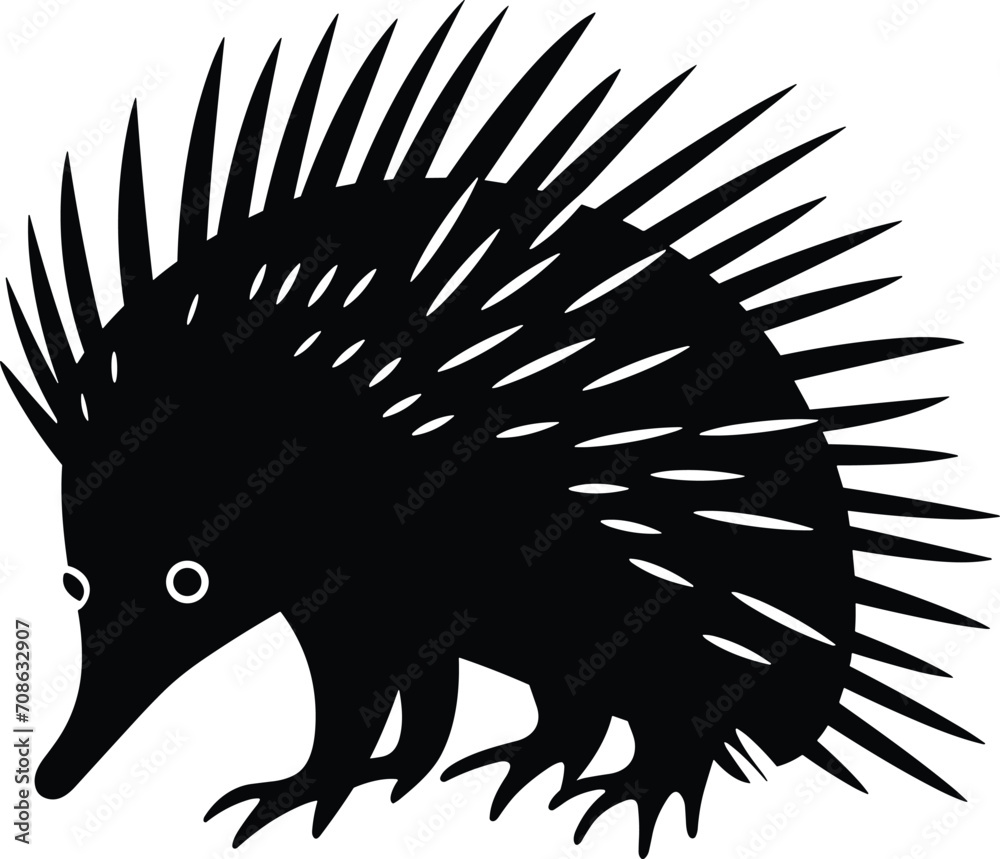Echidna black and white silhouette vector illustration, isolated on ...