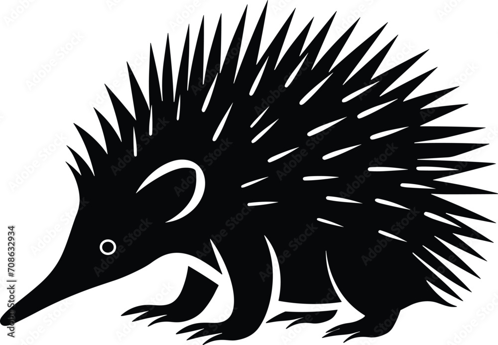 Echidna black and white silhouette vector illustration, isolated on ...