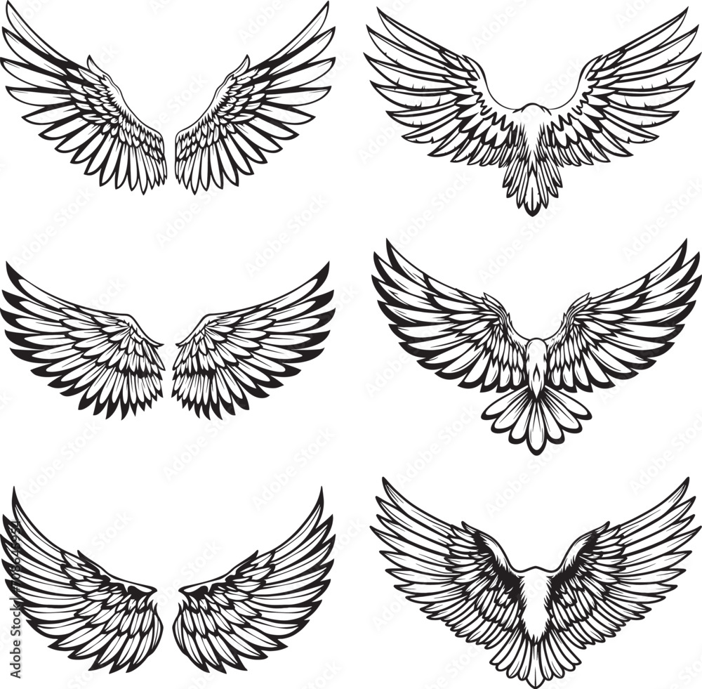 2 Color Vector Full Wing Set with clean sharp feather lines that make ...