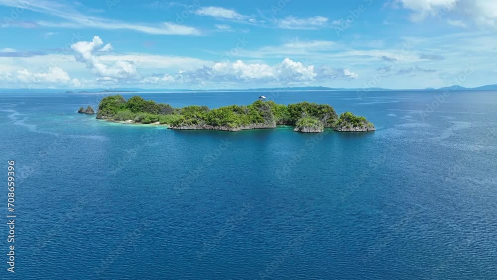 Rufas Island is fringed by beautiful coral reefs in Raja Ampat ...