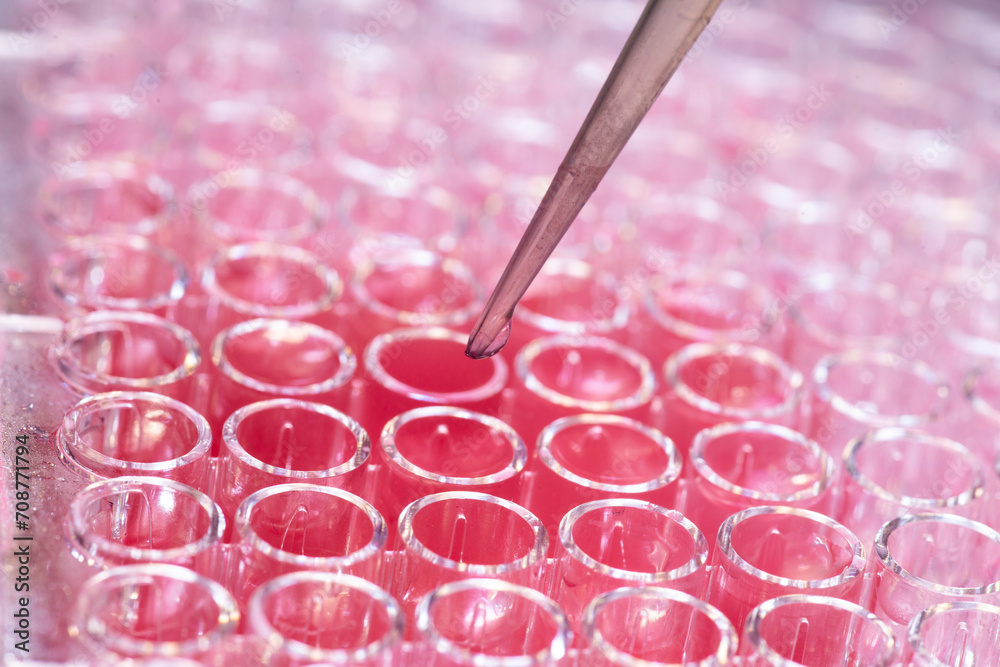 geneticist working with microplate for cells analysis in the genetic ...