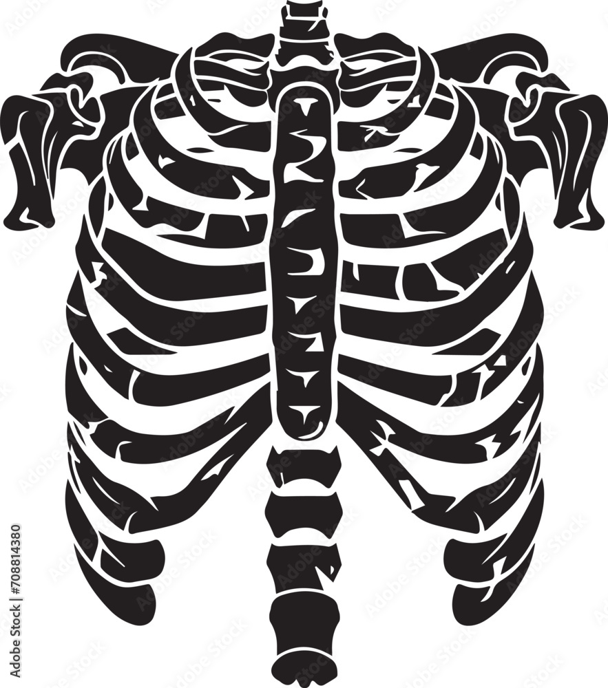 plano vectorial, tórax del esqueleto,stencil Stock Vector | Adobe Stock