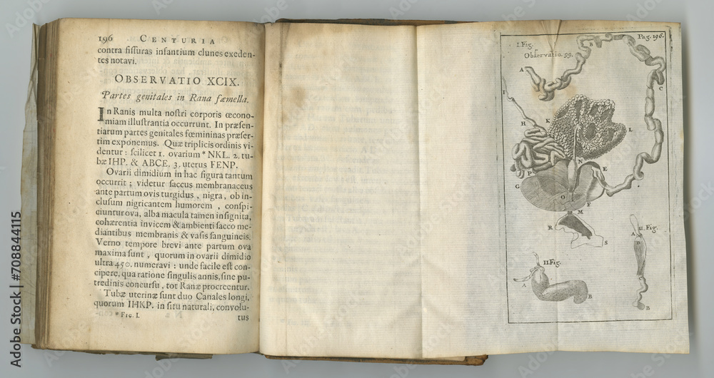 Anatomy, book and medical drawing on paper in antique, vintage or old ...