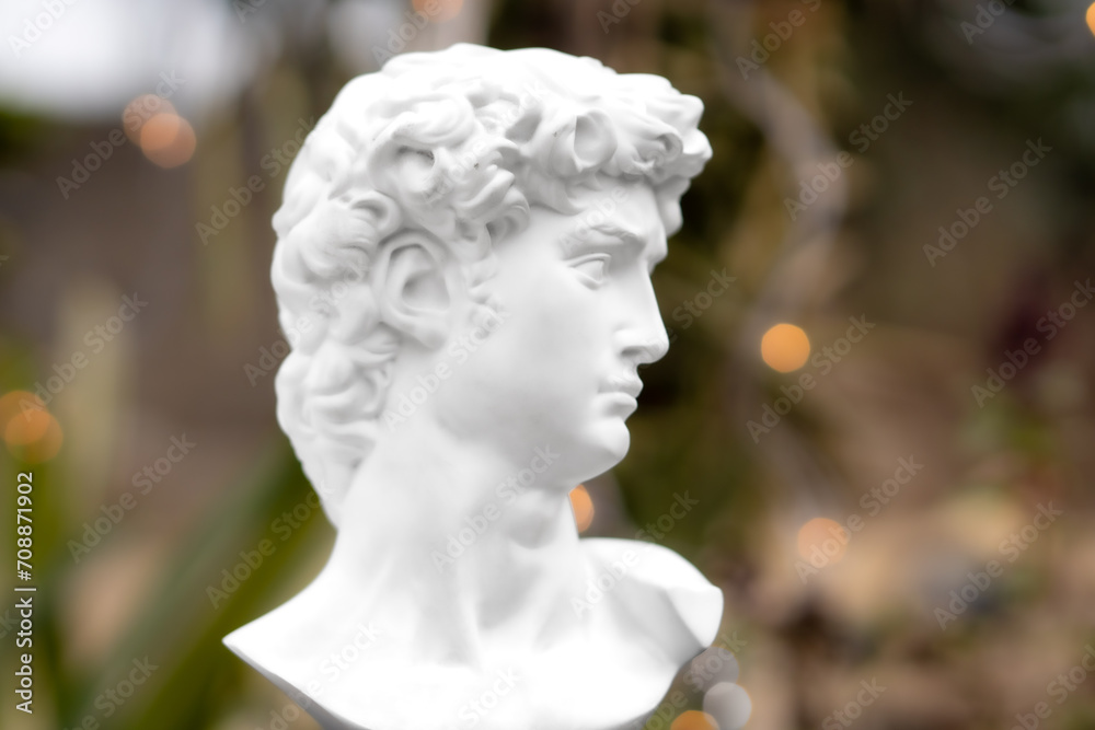 Gypsum statue of David's head in nature with bokeh background ...