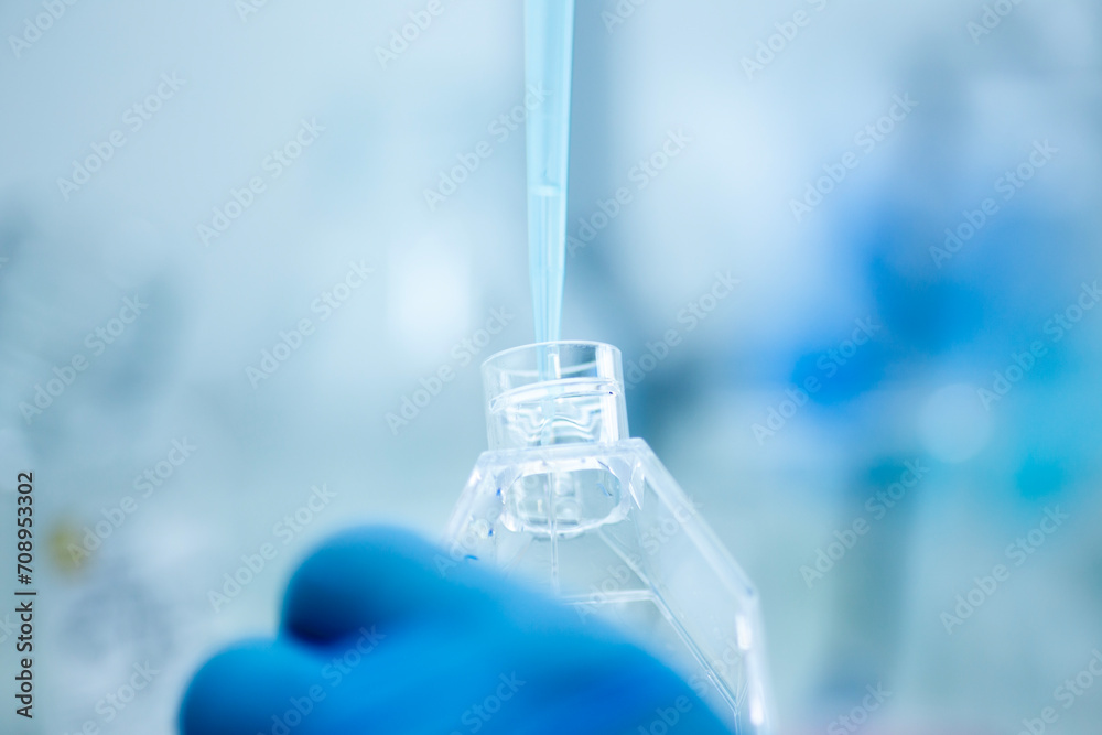geneticist working with microplate for cells analysis in the genetic ...