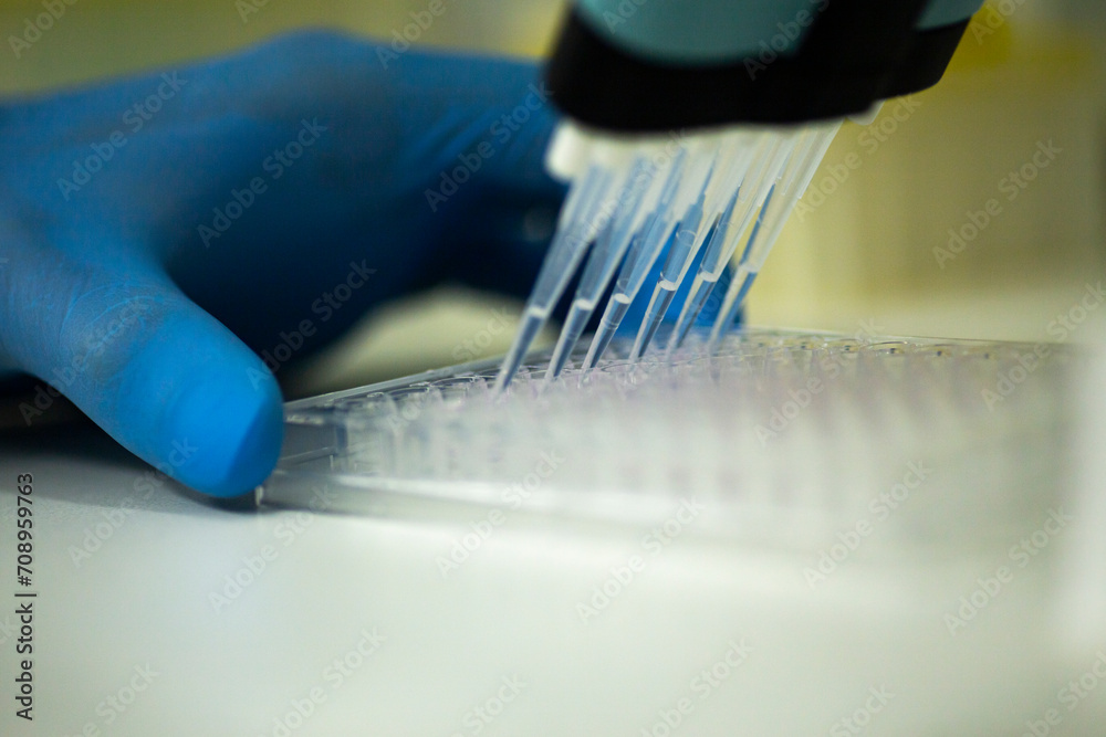 geneticist working with microplate for cells analysis in the genetic ...