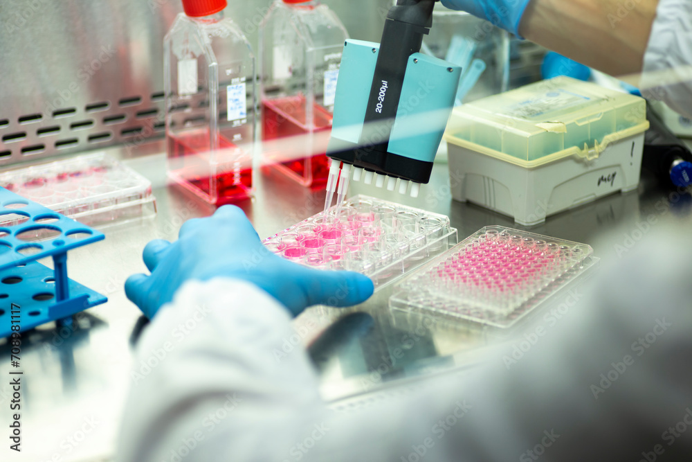 geneticist working with microplate for cells analysis in the genetic ...