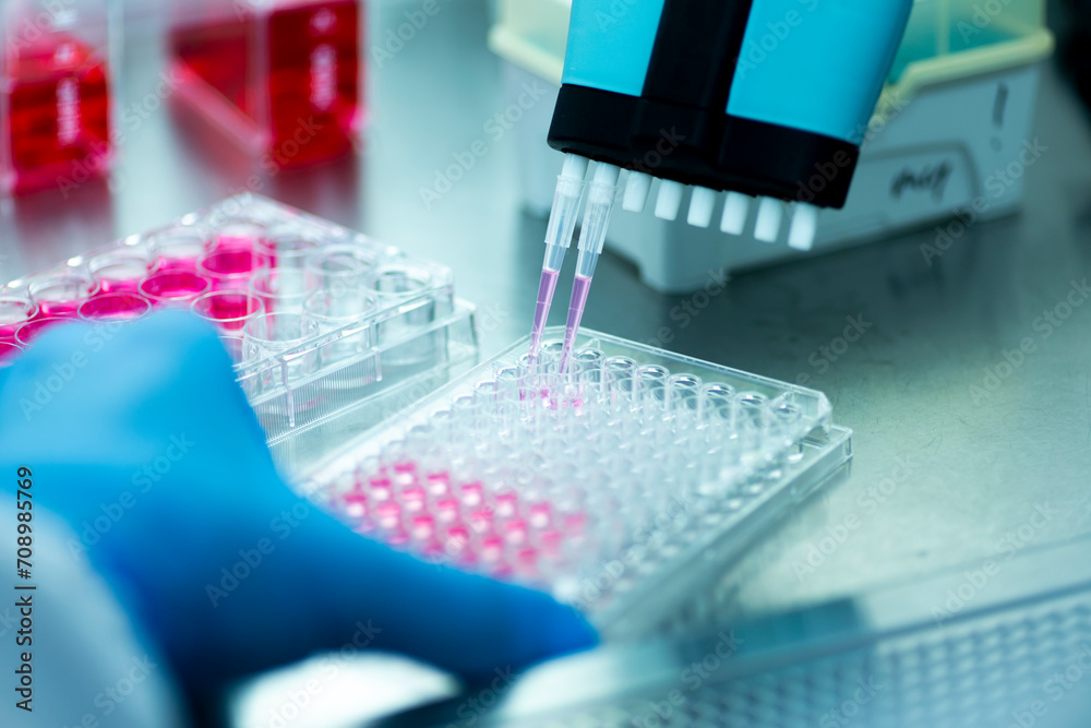 geneticist working with microplate for cells analysis in the genetic ...