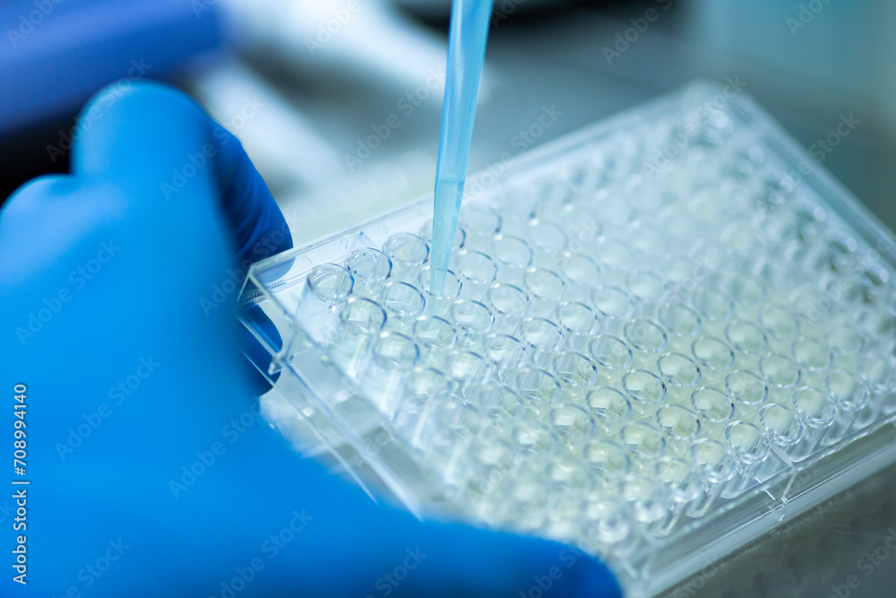 geneticist working with microplate for cells analysis in the genetic ...