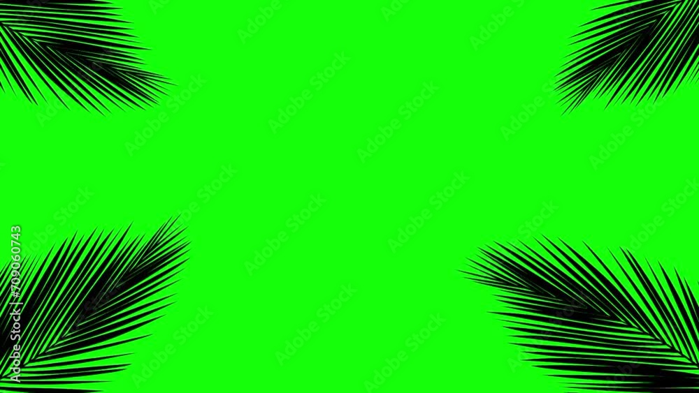 Animated frame of tropical leaves moving in the wind. Coconut leaves on ...