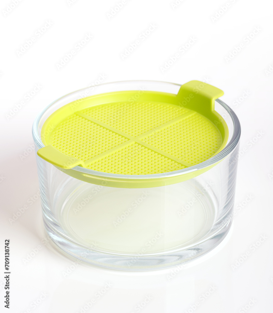 Germination bowl with yellow-green sieve. Sprouting dish for sprouting ...