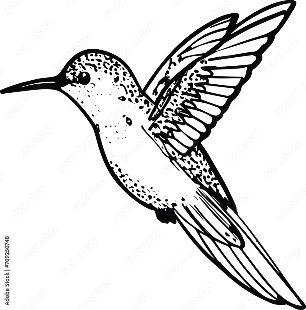 Hummingbird Svg, Hummingbird Clipart, Hummingbird silhouette Svg ...