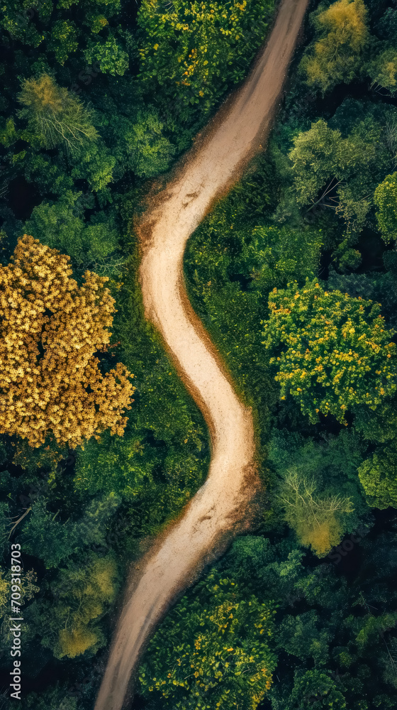 bird's-eye view of a winding dirt path splitting into two separate ...