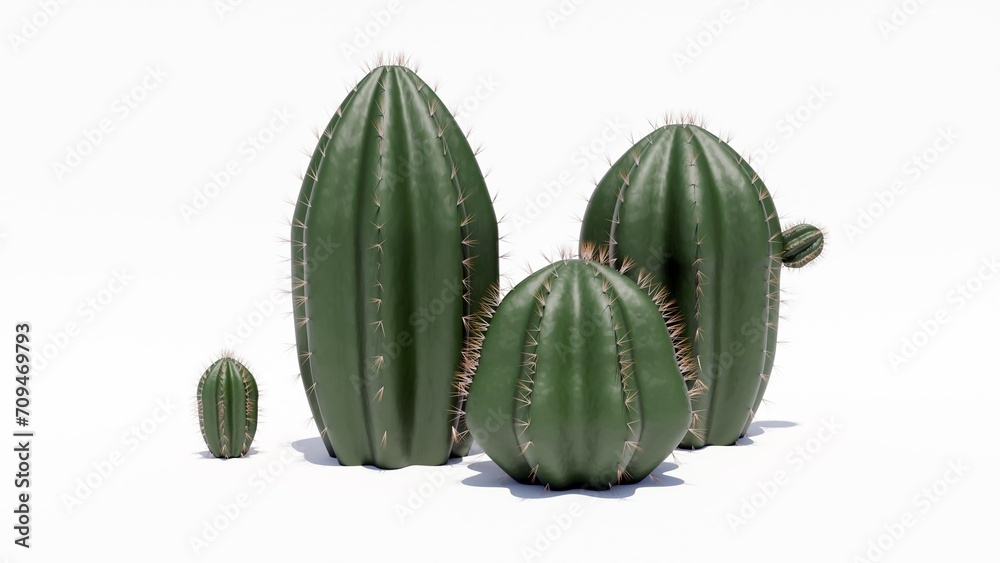 3d rendering of a group of cacti on the white background. The cacti are ...