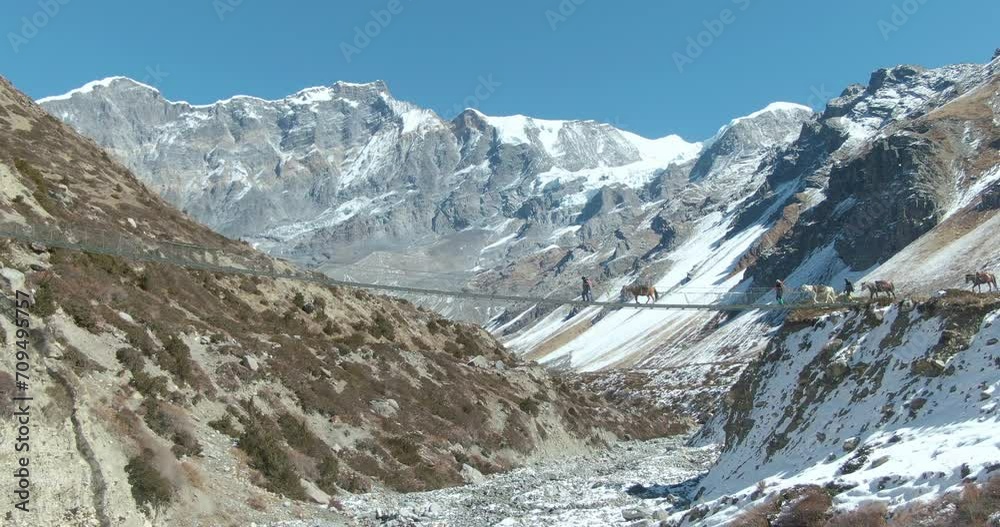 Horse and shepherd men cross suspension bridge at Manang Nepal ...