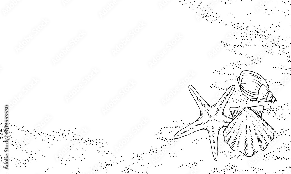 Sea Background with sand and shells. Vector outline illustration. Hand ...