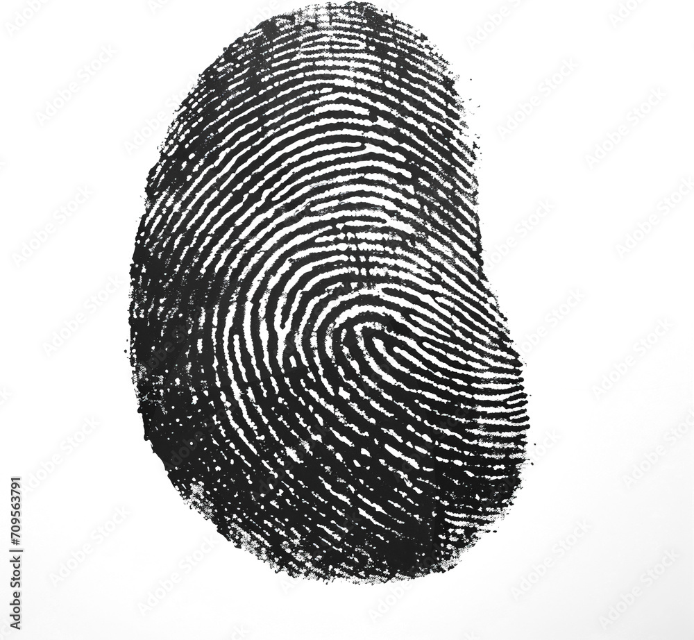 Fingerprint isolated on transparent background. PNG. PSD Stock ...