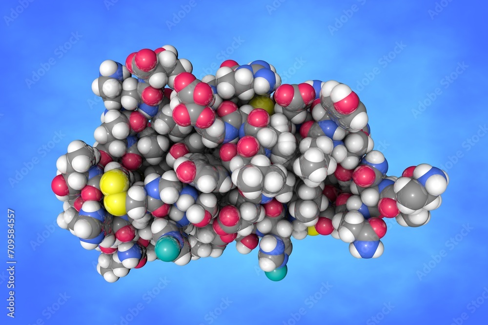 T6 human insulin. Space-filling molecular model. Atoms are shown as ...
