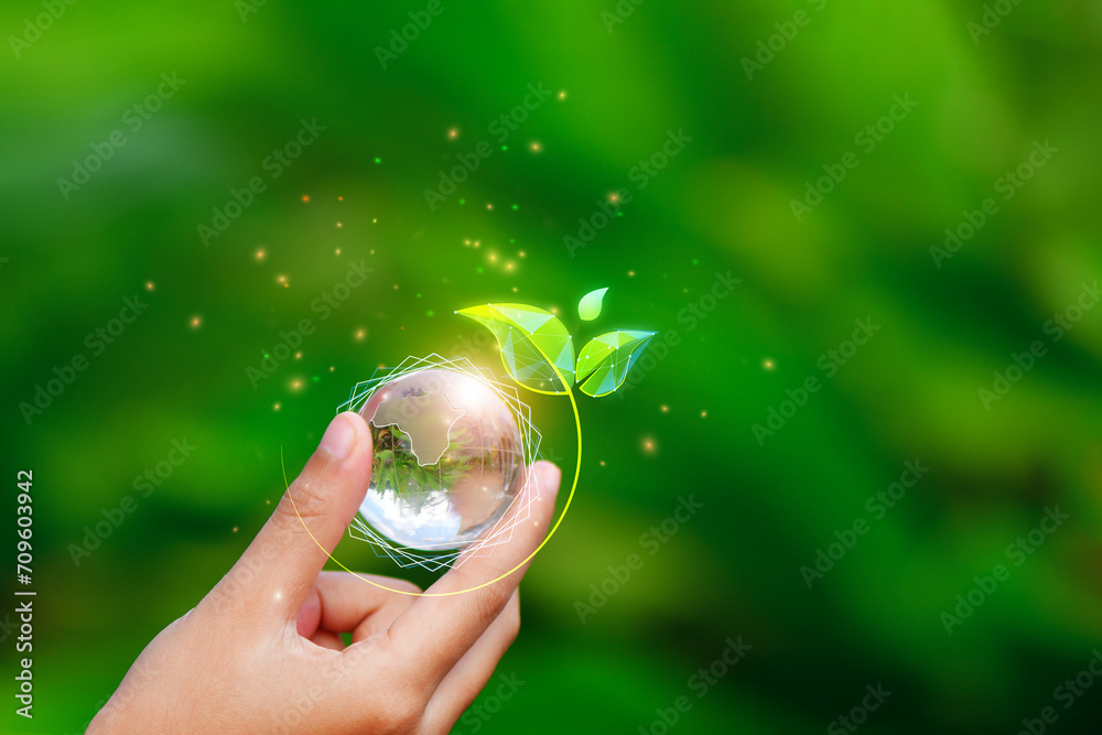 Net zero and carbon neutral concept. Net zero greenhouse gas emissions ...