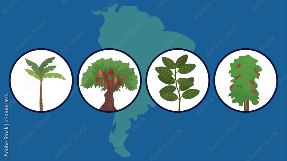 Vector illustration of a map of Brazil with trees, map of South America ...