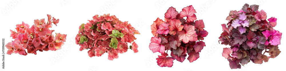 Coral Bells Flower Pile Of Heap Of Piled Up Together Hyperrealistic ...