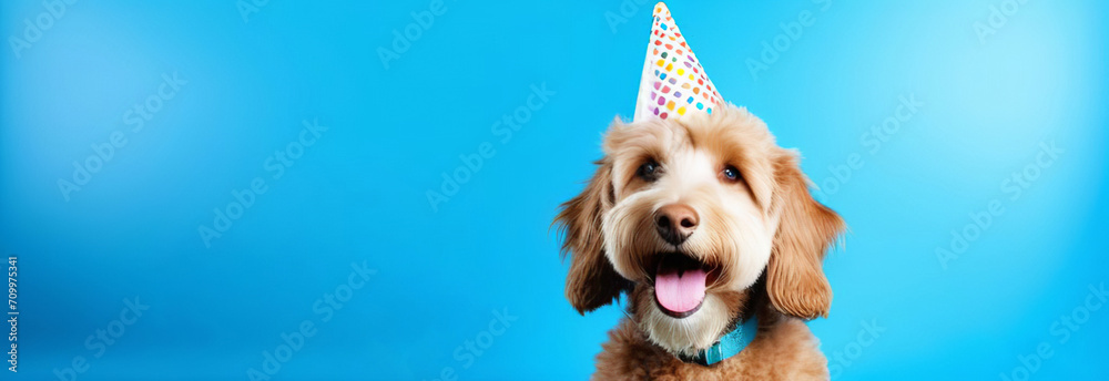 Cute dog celebrating at a birthday, wearing a party hat with falling ...