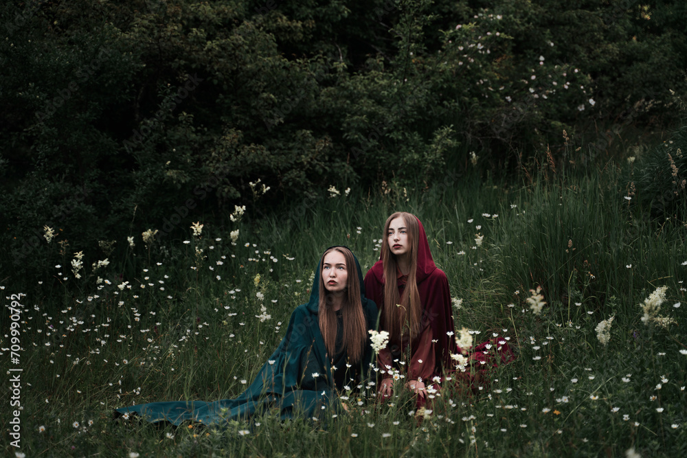 A fairytale portrait of two elves sitting in a fairytale forest, a ...