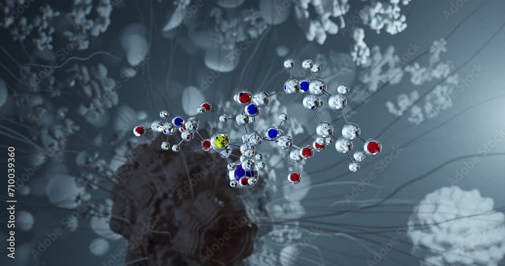 Amoxicillin clavulanic acid rotating molecular 3d structure ball-and ...