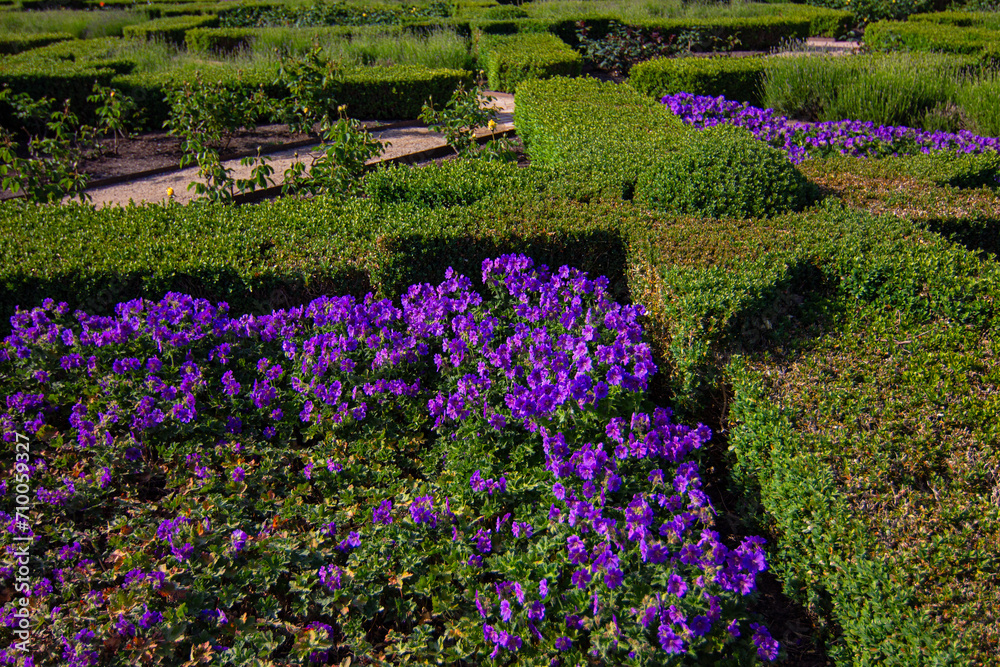 Flowers blooming at the Rosenborg Castle Gardens (Danish: Kongens Have ...
