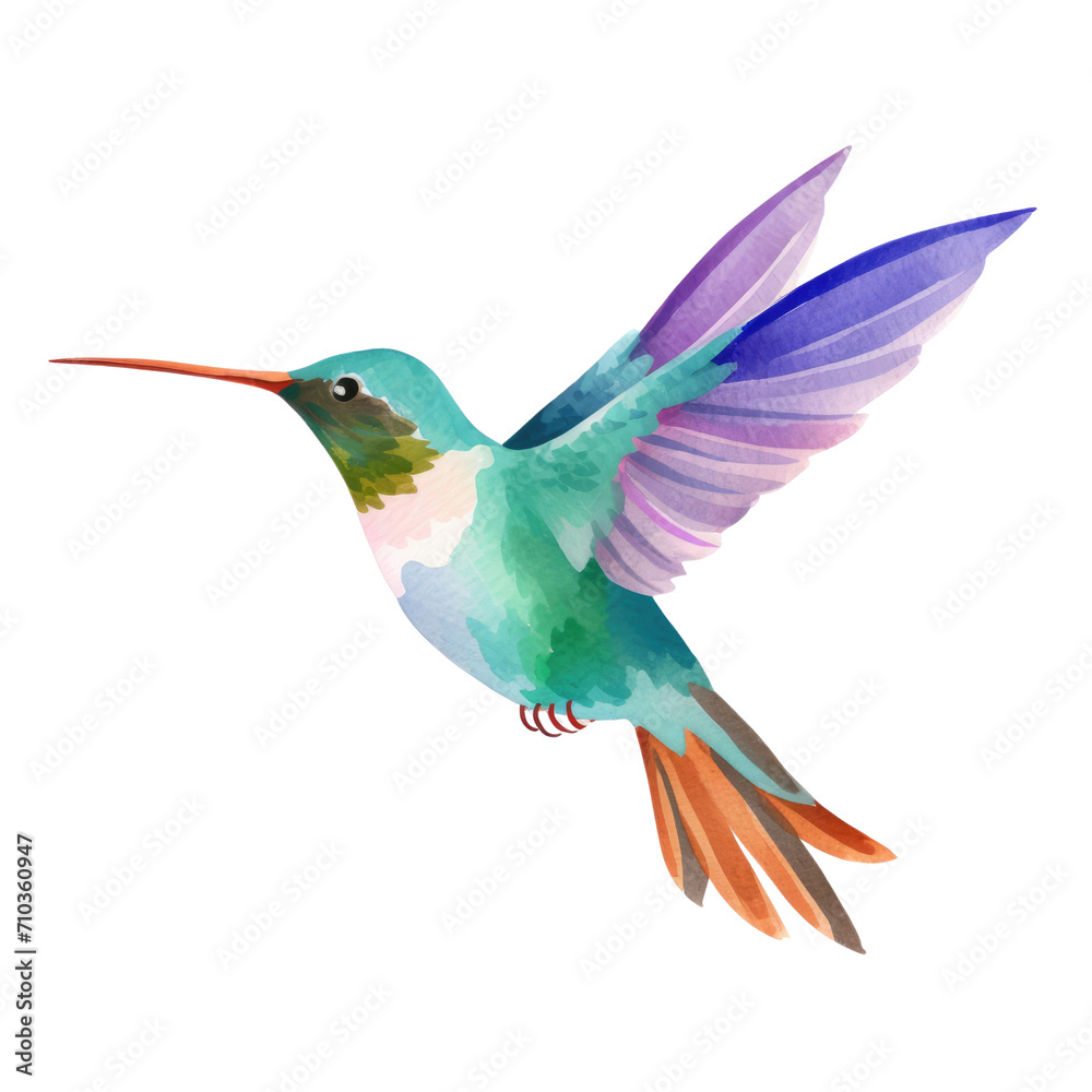 Hummingbird clipart for graphic resources watercolor PNG transparent ...