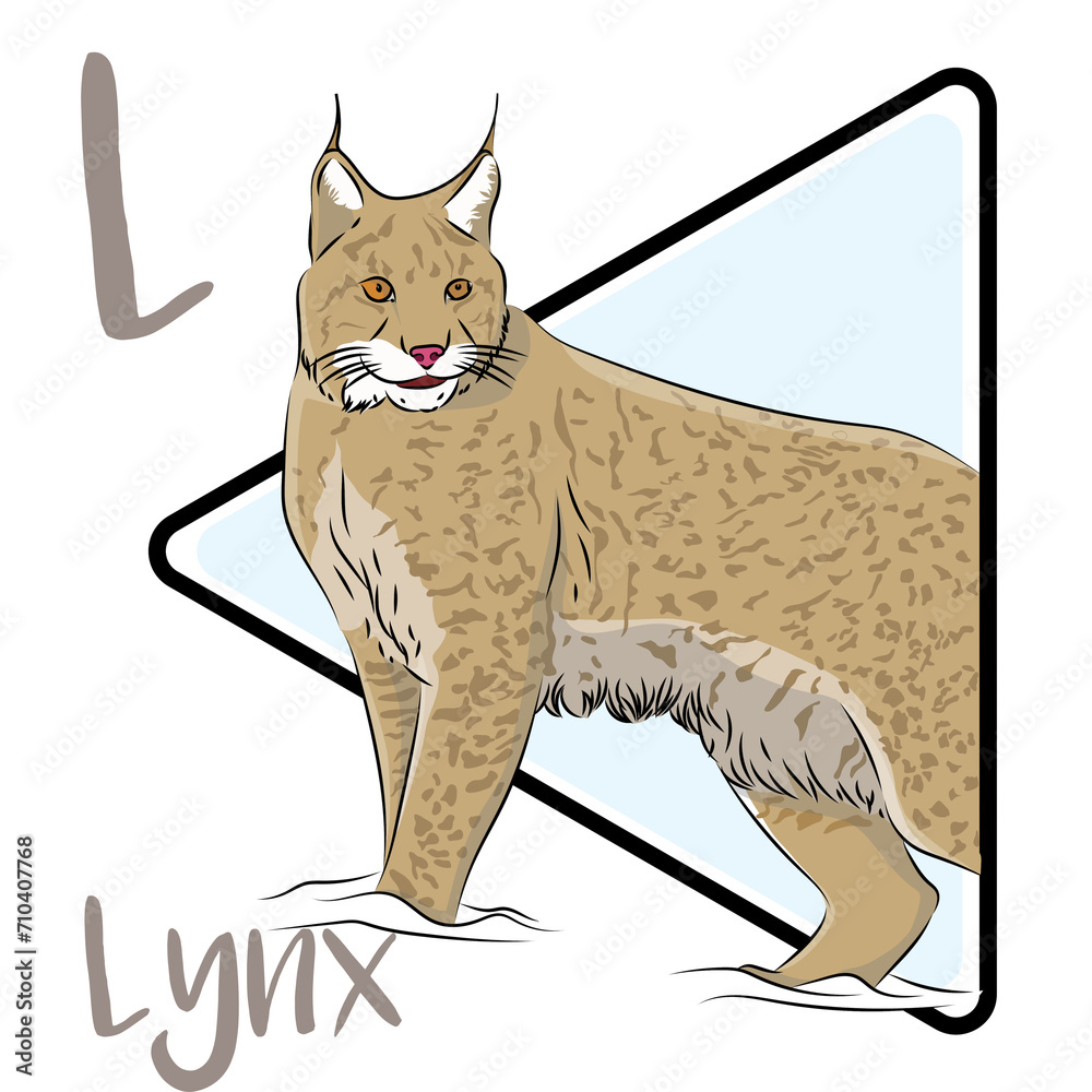 Lynxes are medium-sized, solitary wildcats. Their fur grows thicker in ...