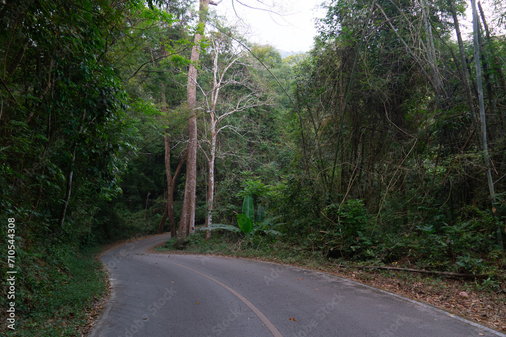 Curved downhill path of asphalt road.Both sides of the road are filled ...