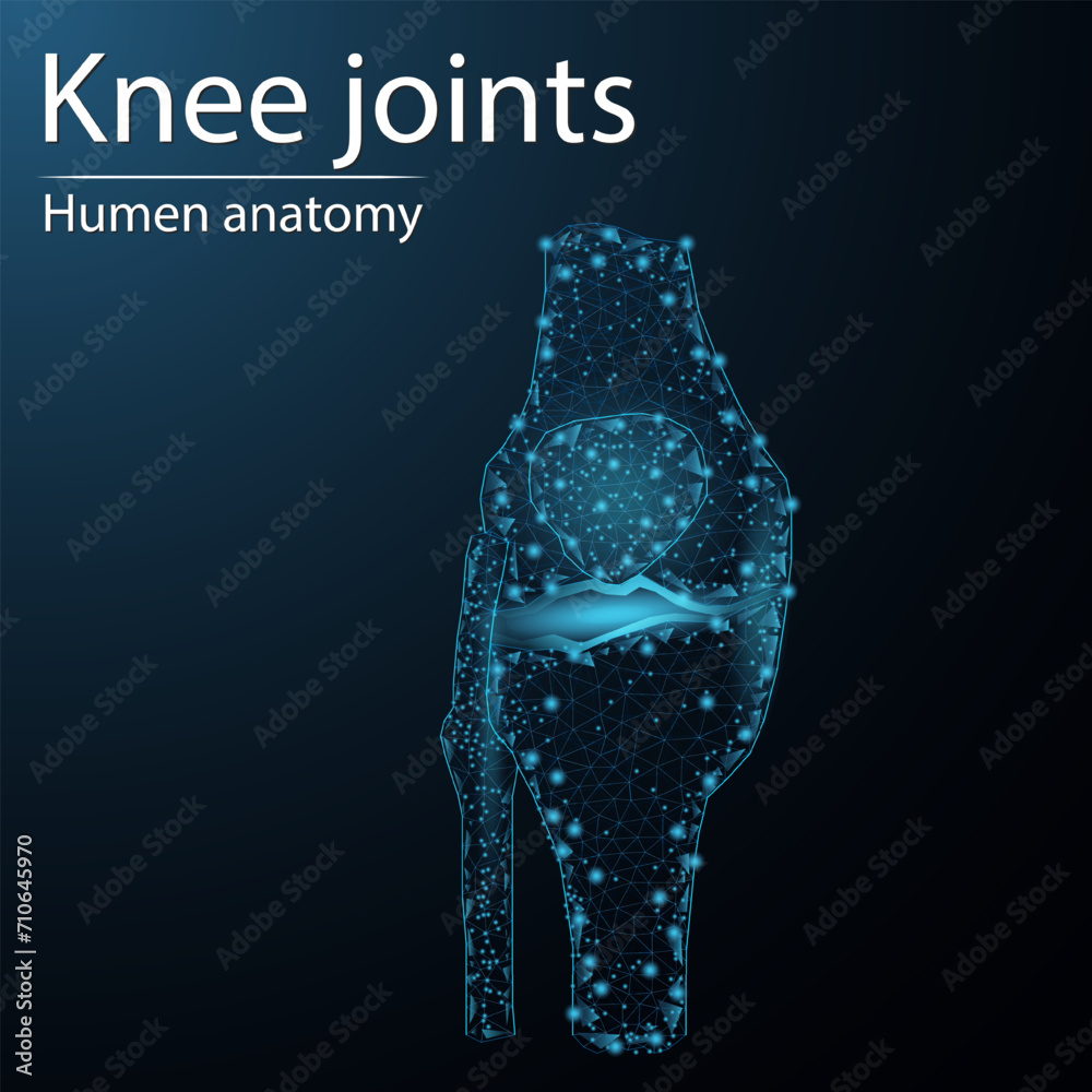 Polygonal vector illustration of the bones knee joints on a dark blue ...