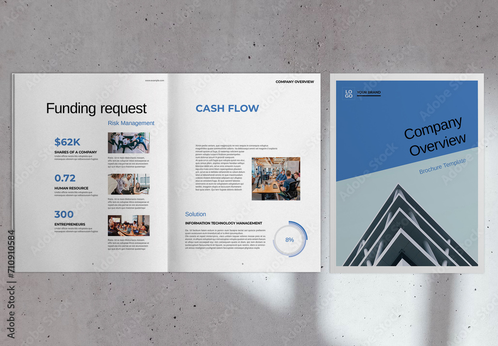 Company Overview Business Brochure Layout Stock Template | Adobe Stock