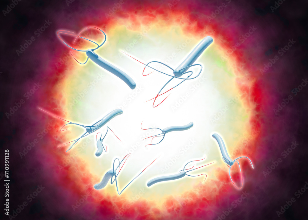 Helicobacter pylori is a gram-negative, flagellated, helical bacterium ...