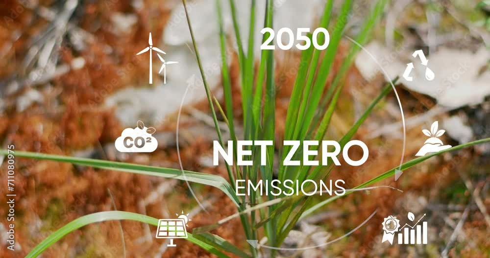 Net zero and carbon neutral concept. Net zero greenhouse gas emissions ...