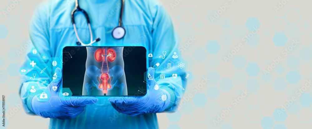 Nephrology, medical care for kidney problems. Kidneys, bladder ...