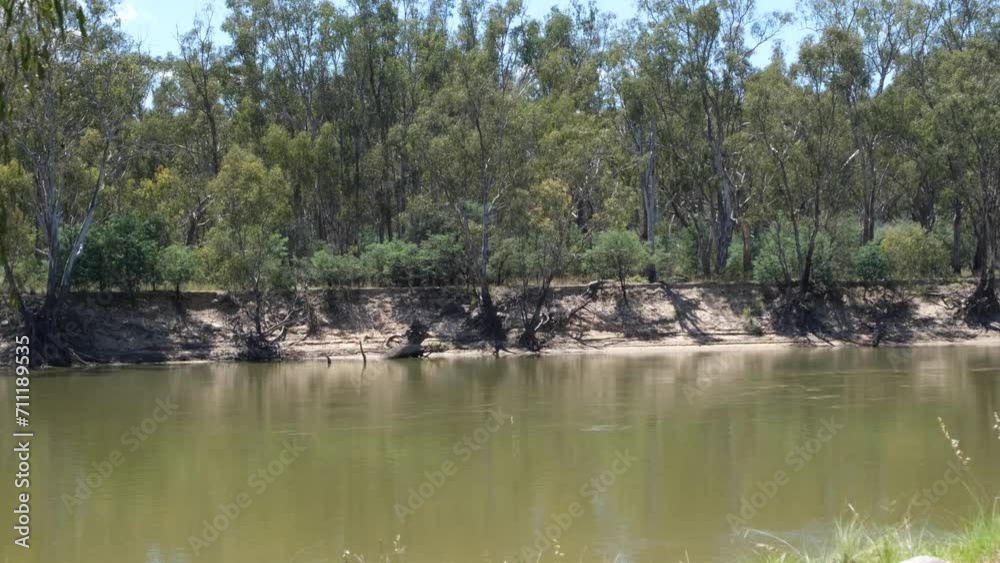Australian inland waterbody landscape. Native red gum trees, and soil ...