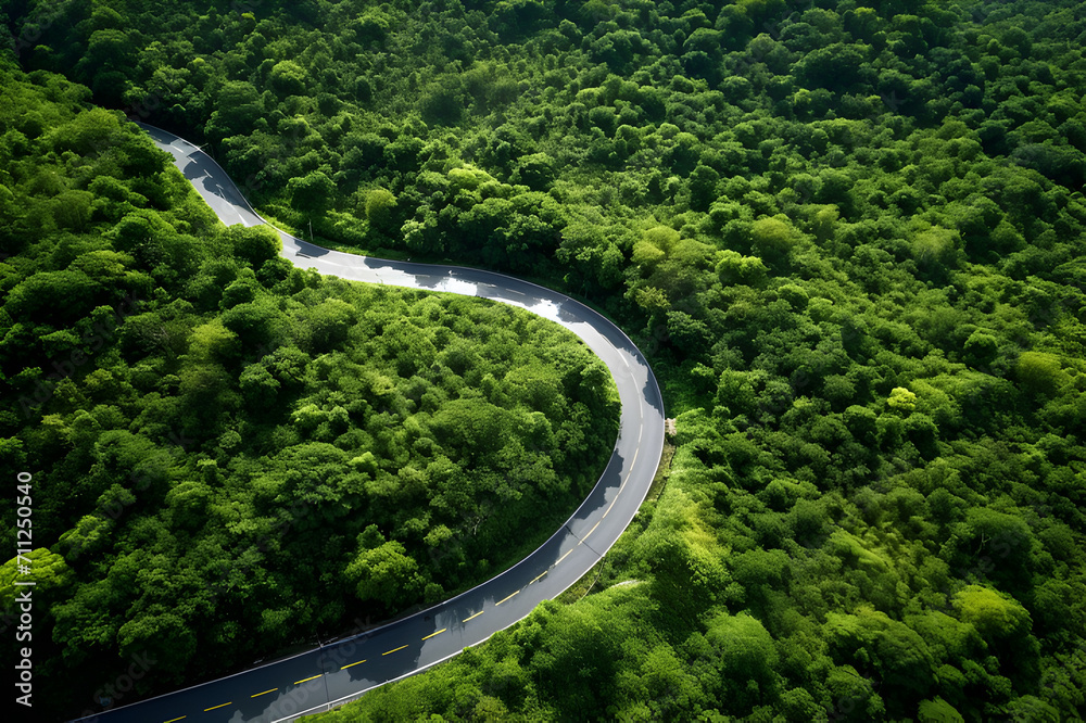 Top view of road surrounded by greenery in a season of growth ...