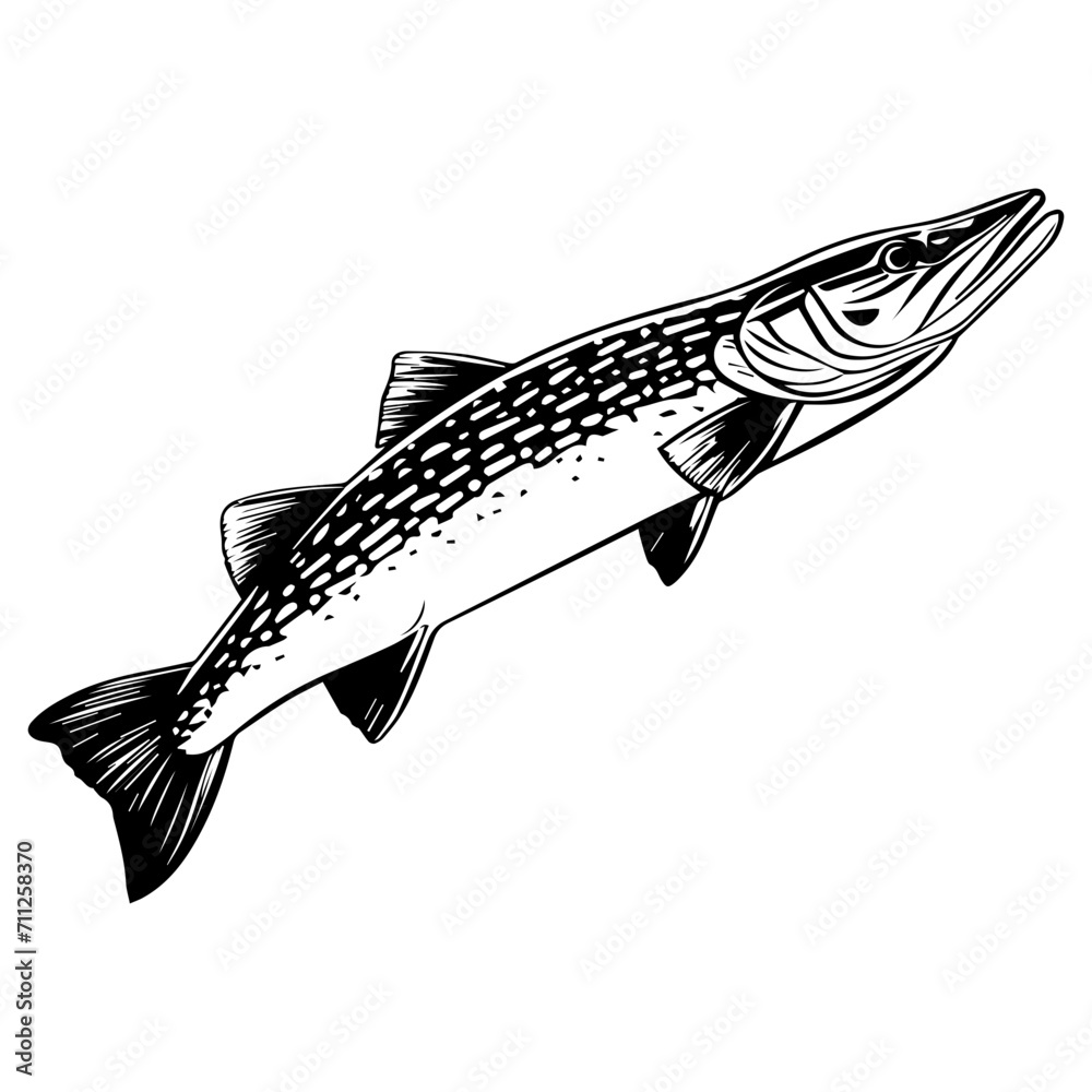 northern pike fish black silhouette logo svg vector, pike fish icon ...