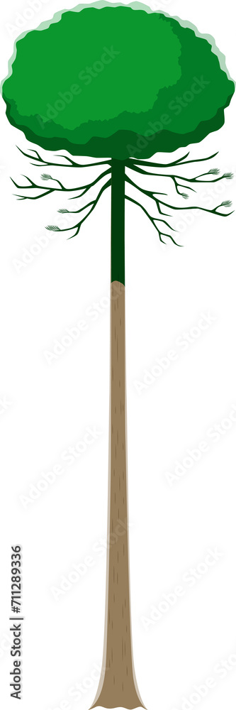 Prehistoric tree, vector ancient, towering plant Stock Illustration ...