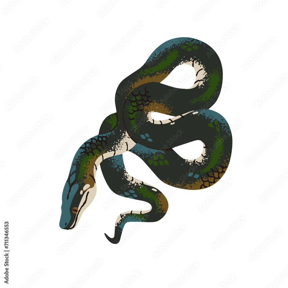 Rainbow boa. White lipped or water python. Tropical snake with glossy ...